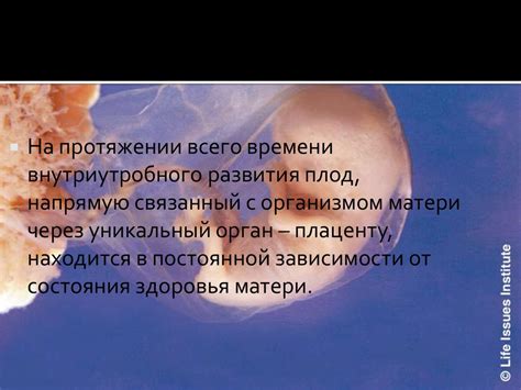 Влияние никотина и алкоголя на развитие зародыша человека - презентация ...