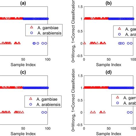 Model Performance Showing Correct And Wrong Classification When Download Scientific Diagram