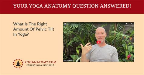 What Is The Right Amount Of Pelvic Tilt In Yoga Yoganatomy