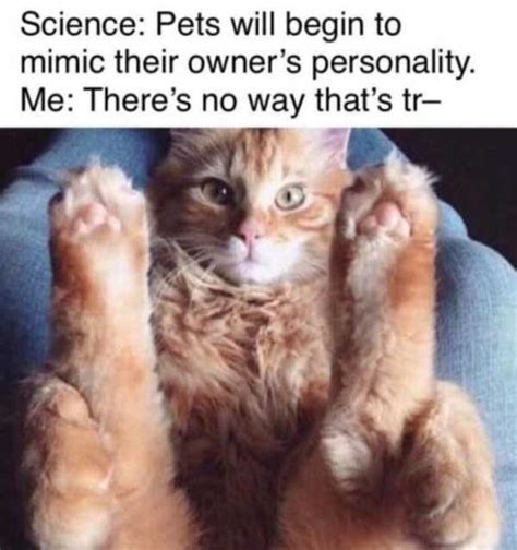 33 Funny Sex Related Memes Klyker Com