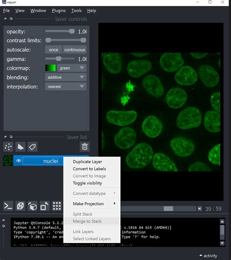 Saving Files In Napari Usage And Issues Imagesc Forum