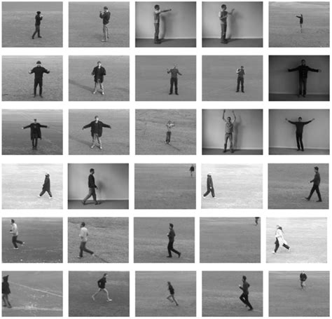 video sequences from kth datasets download scientific diagram