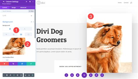 How To Change An Image On Hover With Divi