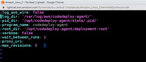 Aws Code Deploy Cant Install Codedeploy In Lightsail Instance With