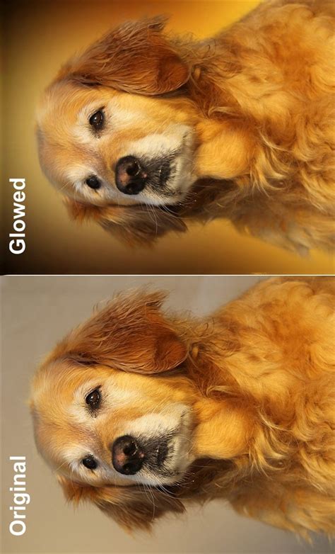 Halo Effect Coreldraw X6 Coreldraw Graphics Suite X6 Coreldraw Community