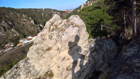 Microsoft Cognitive Services Computer Vision