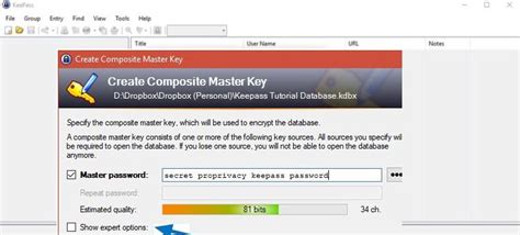 top 5 keepass chrome extension alternatives in 2025