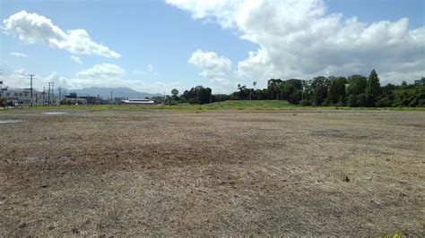 旧福島県農業試験場跡 花かつみ