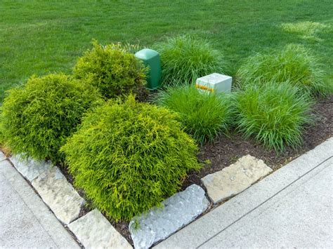 24 Creative Ways To Hide A Tree Stump In Your Garden OH