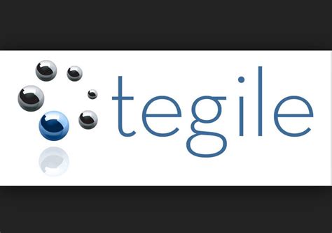 Tegile Unveils Speedy New Multi Tiered Flash Storage Array