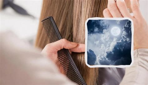 Благоприятные и неподходящие дни месяца для стрижки в августе 2024 — Сайт Хорошего