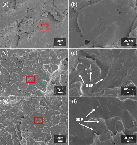 Sem Image Of Post Tensile Fracture Surface Observation Of Dlp Download Scientific Diagram
