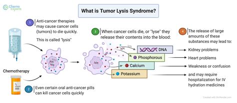 Tumor Lysis Syndrome Chemoexperts Tumor Lysis Syndrome Chemoexperts
