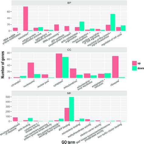 Functional Classification Of Assembled Unique Sequences Identified In