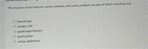[solved] The Muscles Rectus Femoris Vastus Lateralis And