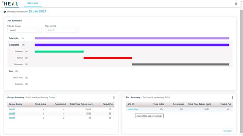 Batch Job Monitoring Heal Software Inc