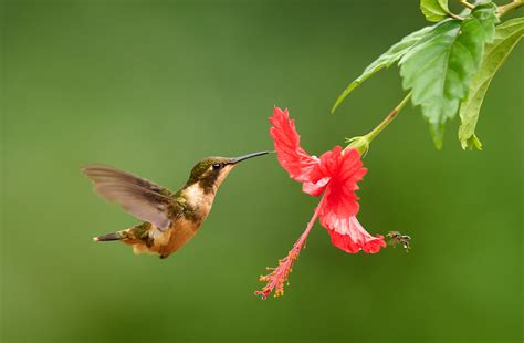 An Interesting Rolling Shutter Effect The Magic Of The Unwanted An Interesting Rolling Shutter Effect The Magic Of The Unwanted