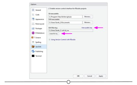 GitHub GulMuneerBaloch Linking Github And R Studio A Repository That Will Be Linked With RStudio
