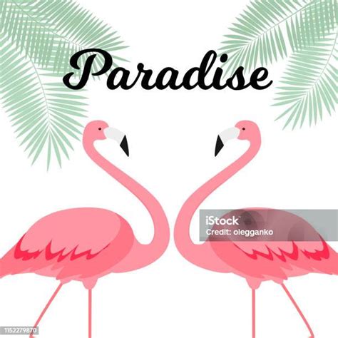 분홍색 플라밍고와 여름 창조적 인 포스터입니다 초대장의 카드입니다 벡터 일러스트 개념에 대한 스톡 벡터 아트 및 기타 이미지