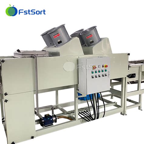 Cherry Tomato Sorting Grading Machine Date Processing Machinery Lychee Size Sorter Fstsort