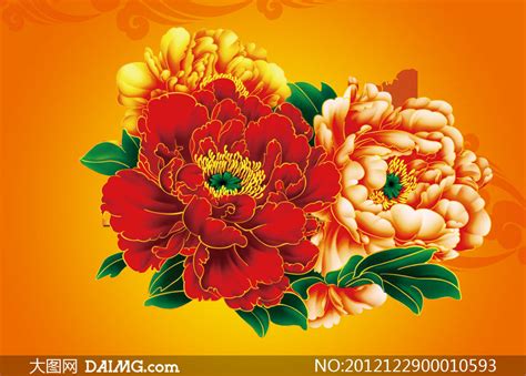 祥云牡丹花风景图 最美牡丹花图片大全 青牡丹花 大山谷图库