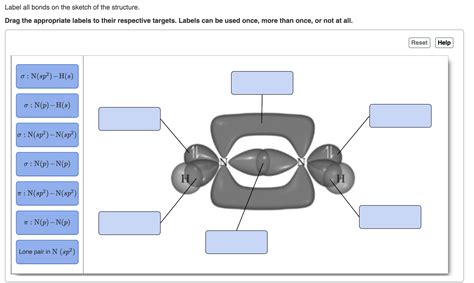 Solved Label All Bonds On The Sketch Of The Structure Drag Chegg