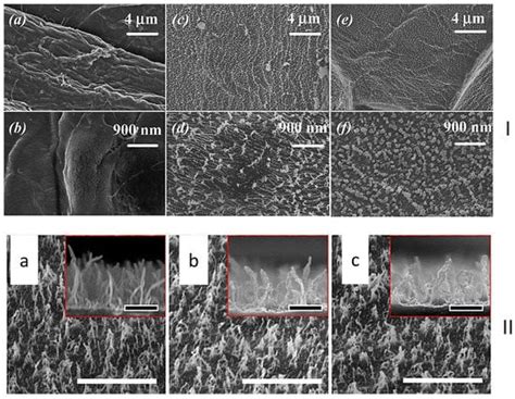 Coatings Special Issue Anti Adhesive Surfaces