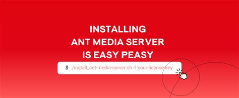 Install Ant Media Server Effortlessly Using A Single Command Ant Media Server