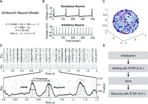 Schematic Of Methods A The Izhikevich Integrate And Fire Neuron