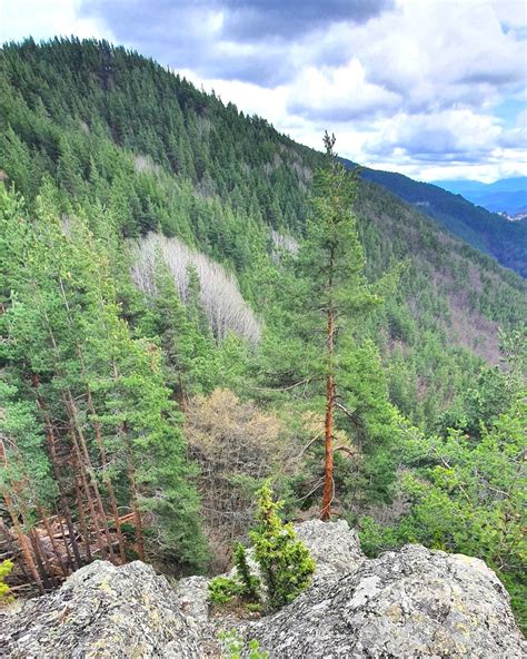 Tourist Complex Andela Yundola Velingrad