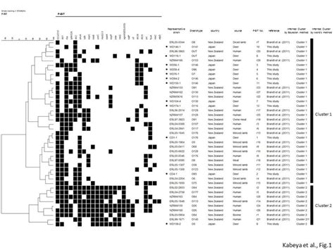 Dendrogram Of P Bit Analysis Using A Simple Matching Coefficient And