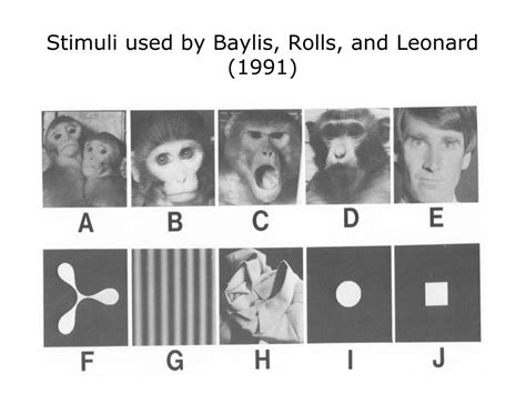 Ppt Distributed Representation Connection Based Learning And Memory