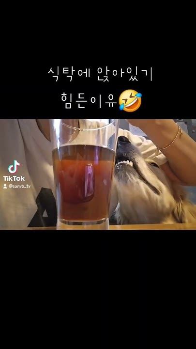 식탁에 앉아있기 힘든이유😭 Youtube