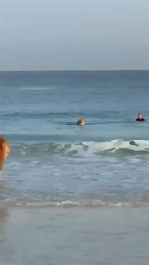 Do Not Use Float When Large C Programs Are Running Rcat