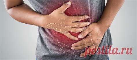 Какой должен быть кал у здорового человека цвет и консистенция ВСЁ ЗДОРОВЬЕ 3 Постила