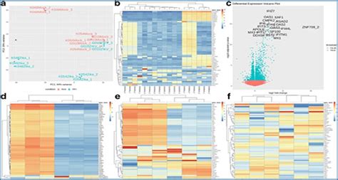 Sincell For Statistical Assessment Of Cell State Hierarchies From Single Cell Rna Seq Rna