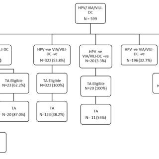 PDF Human Papillomavirus Types And Cervical Cancer Screening Among Female Sex Workers In Cameroon