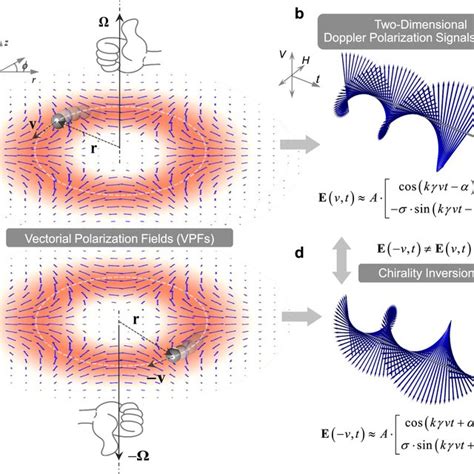 Vectorial Doppler Effect With Spatially Variant Polarized Light Fields