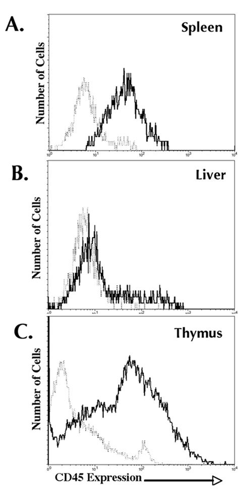 Cd45 Expression In Spleen Liver And Thymus Cells Histograms Generated