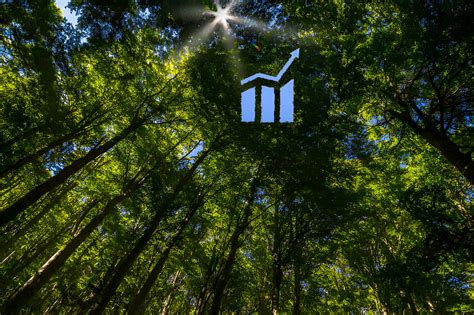 Seamless Integration Streamlining Data For Effortless Sustainability