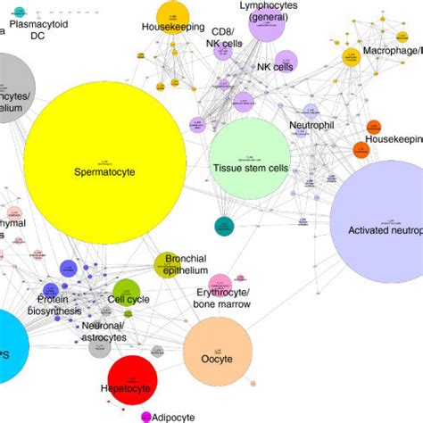 Collapsed Cluster Diagram Showing The Relationship Between Cluster Size Download Scientific