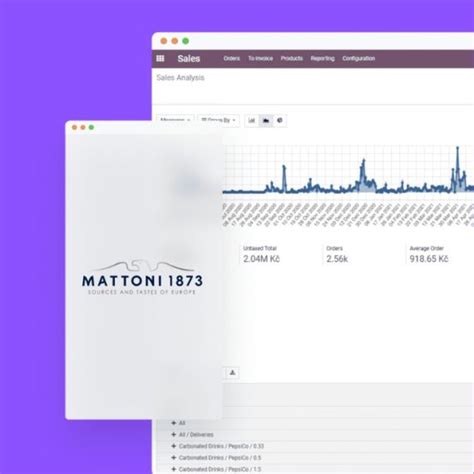 Odoo Projects Portfolio SmartTek Solutions