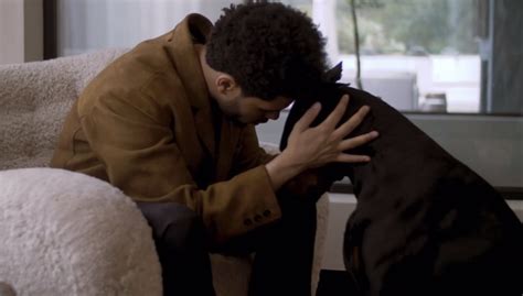 𝙼𝙴𝙼𝙴𝙽𝚃𝙾 𝙼𝙾𝚁𝙸 𝚇𝙾💀 On Twitter Abel Tesfaye With Yoda And Caesar 🥹🖤