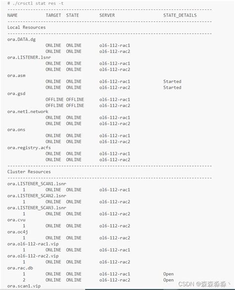 oracle rac问题诊断方法 oracle rac 状态 csdn博客