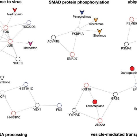 Drug Host Factor Interaction Subnetwork This Subnetwork Contains 9 Download Scientific Diagram