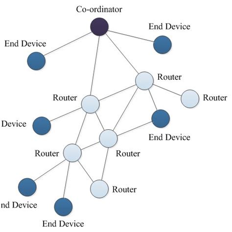 The Schematic Of Mesh Topology Download Scientific Diagram