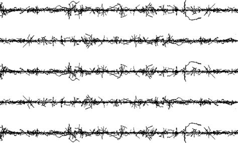 철조망 빈티지 효과 다양한 모양의 흑백 울타리 선 세트 철조망이 있는 테두리 철사 선으로 철조망 0명에 대한 스톡 벡터 아트 및 기타 이미지 Istock