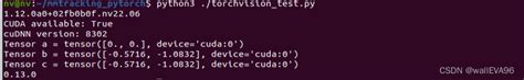 在nvidia orin进行pytorch，torchvision，mmtracking的部署 orin本地部署模型 csdn博客