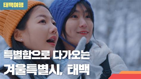 태백여행 특별함으로 다가오는 겨울특별시 태백 Youtube