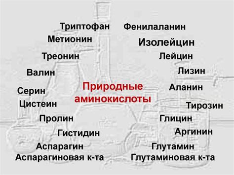 Аминокислоты 10 класс Online Presentation